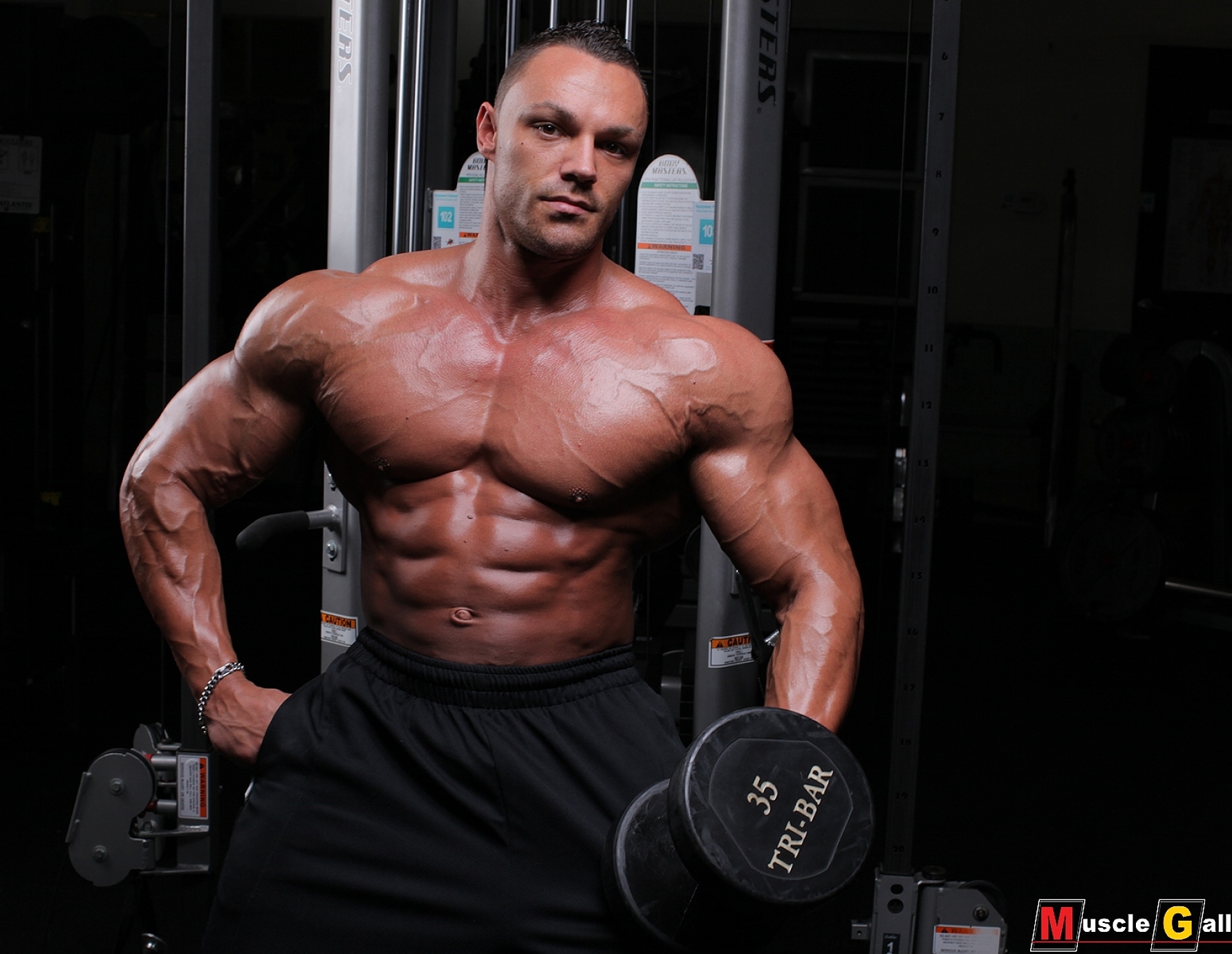 Photos - Male Bodybuilders and Muscle Videos at MuscleGallery.com