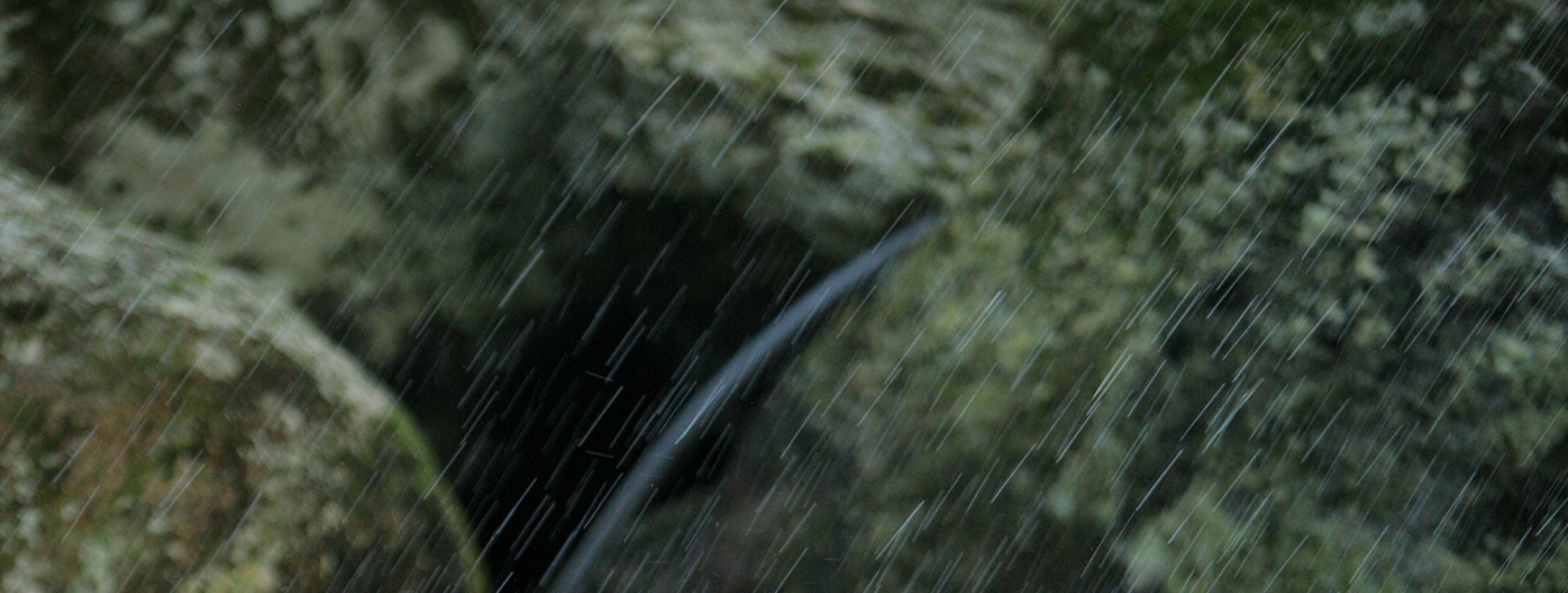 Male Bodybuilders and Muscle Videos at MuscleGallery.com