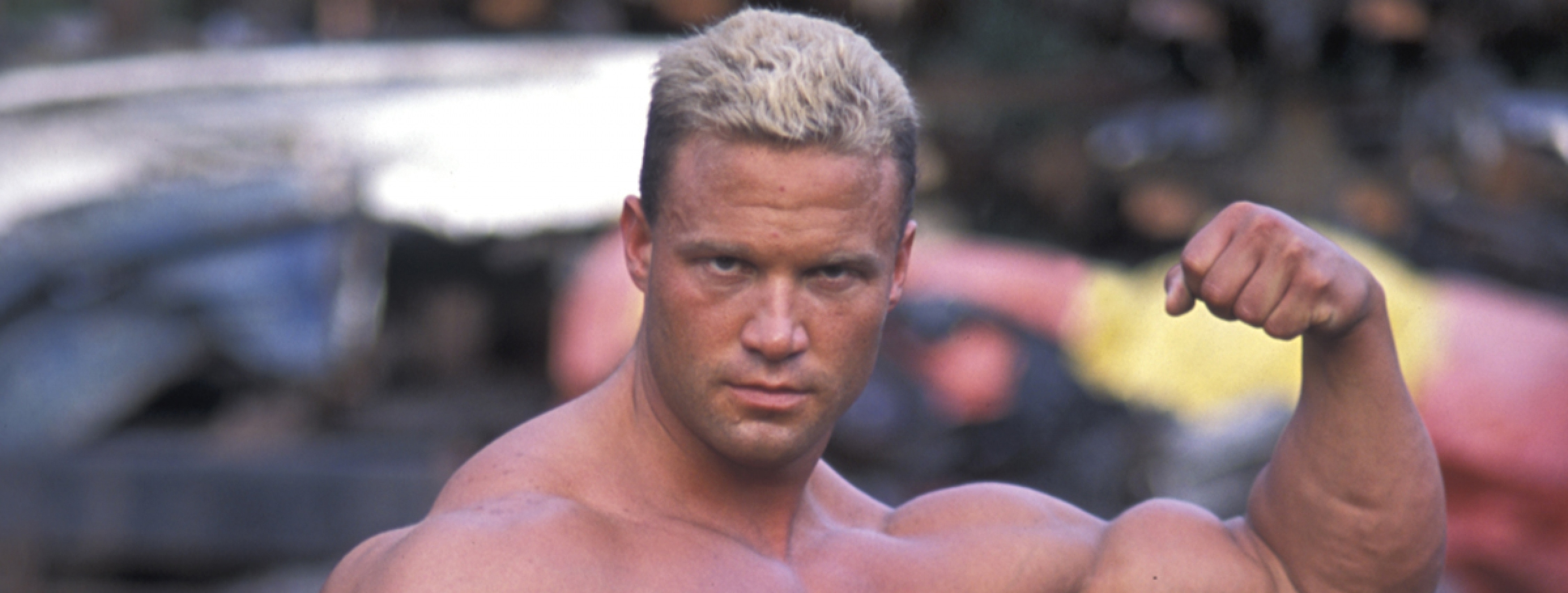 Male Bodybuilders and Muscle Videos at MuscleGallery.com