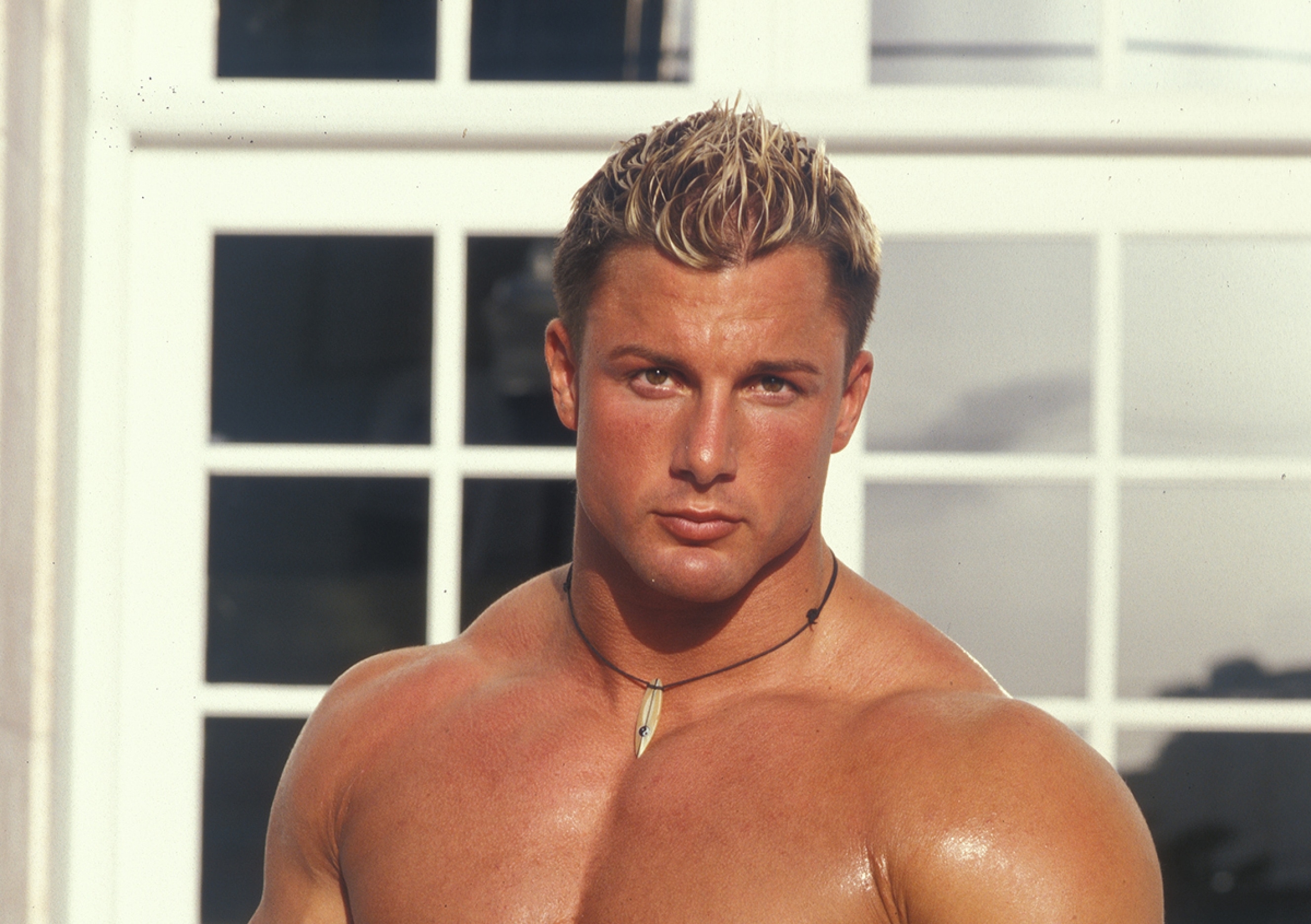 Christian Engel - Male Bodybuilders and Muscle Videos at MuscleGallery.com