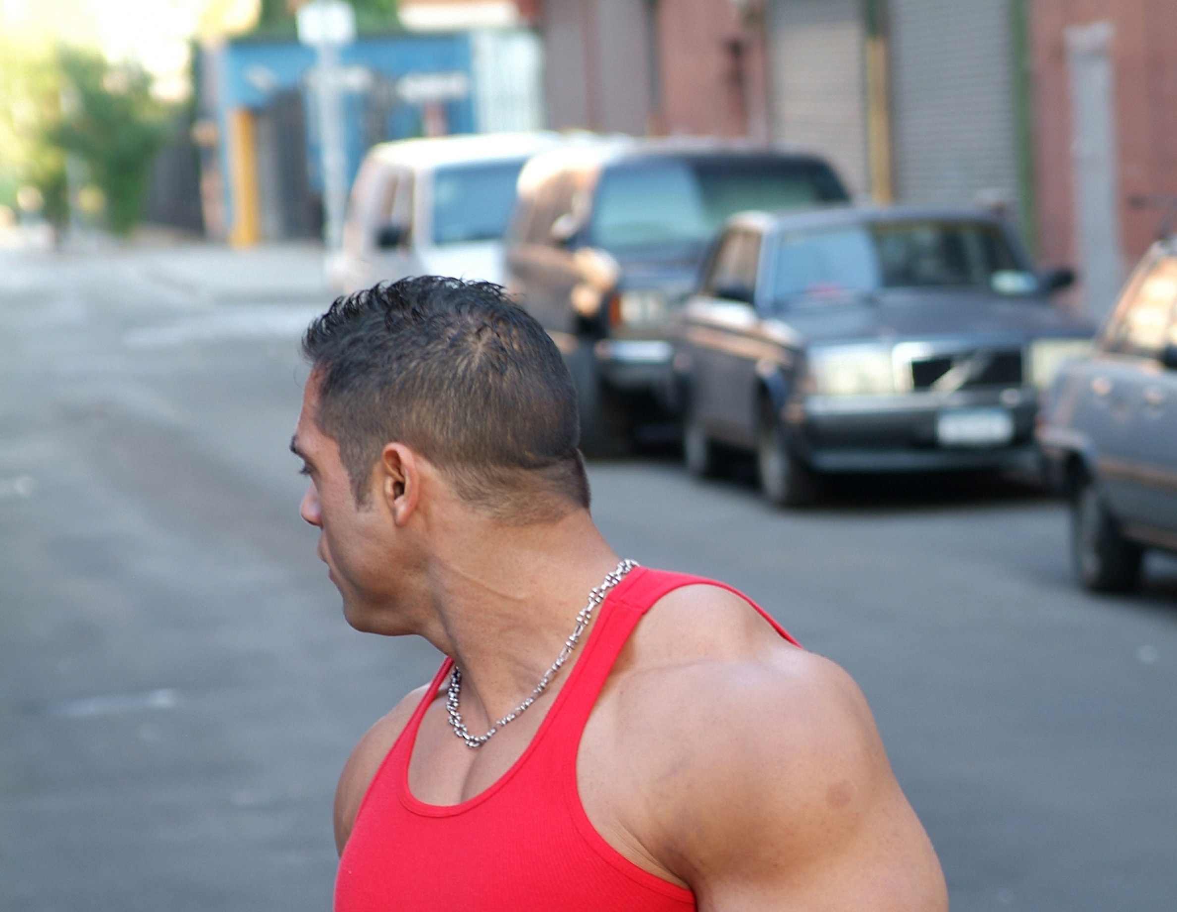 Male Bodybuilders and Muscle Videos at MuscleGallery.com