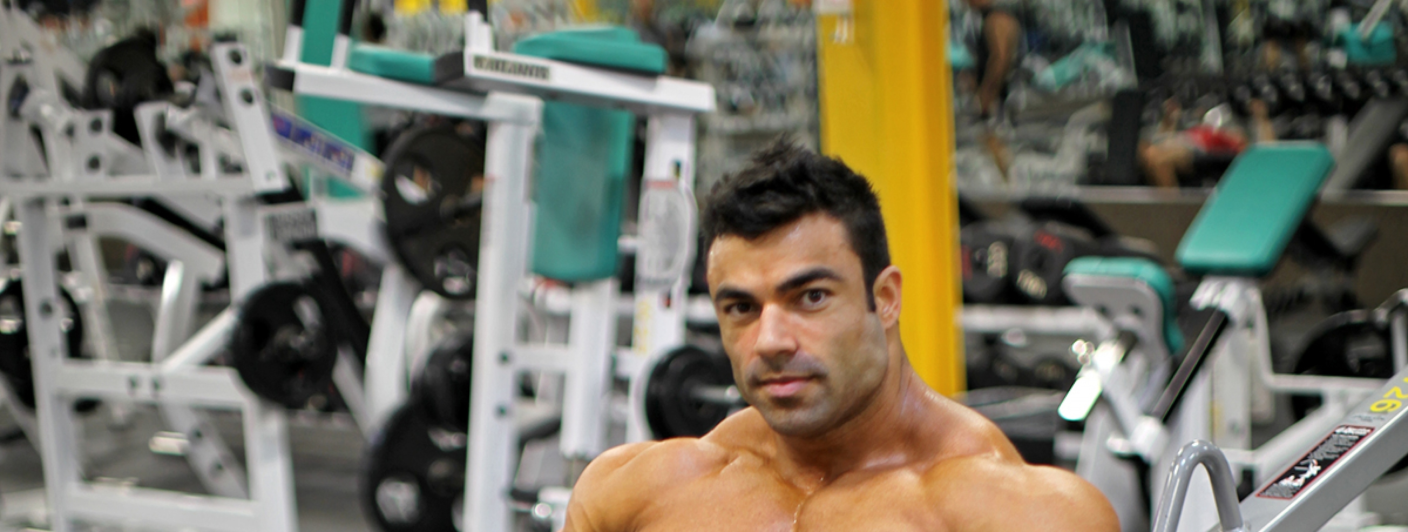 Male Bodybuilders and Muscle Videos at MuscleGallery.com