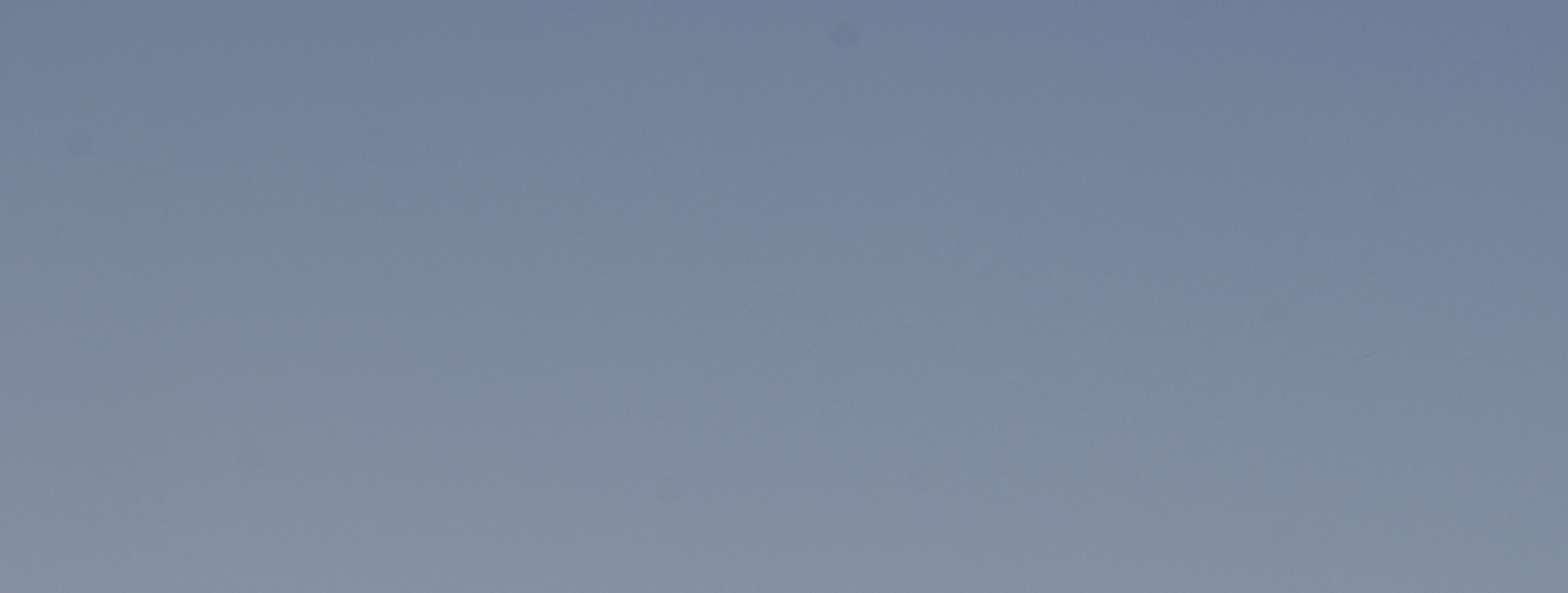 Male Bodybuilders and Muscle Videos at MuscleGallery.com