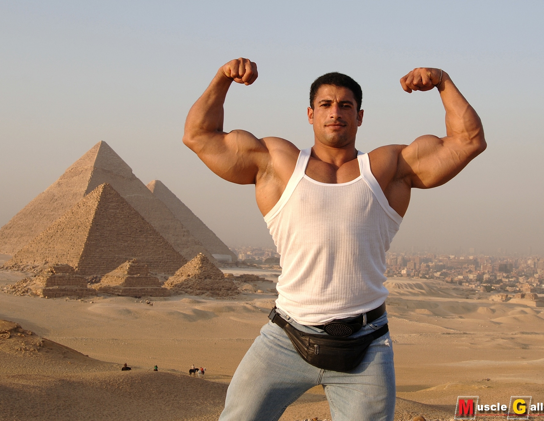 Male Bodybuilders and Muscle Videos at MuscleGallery.com