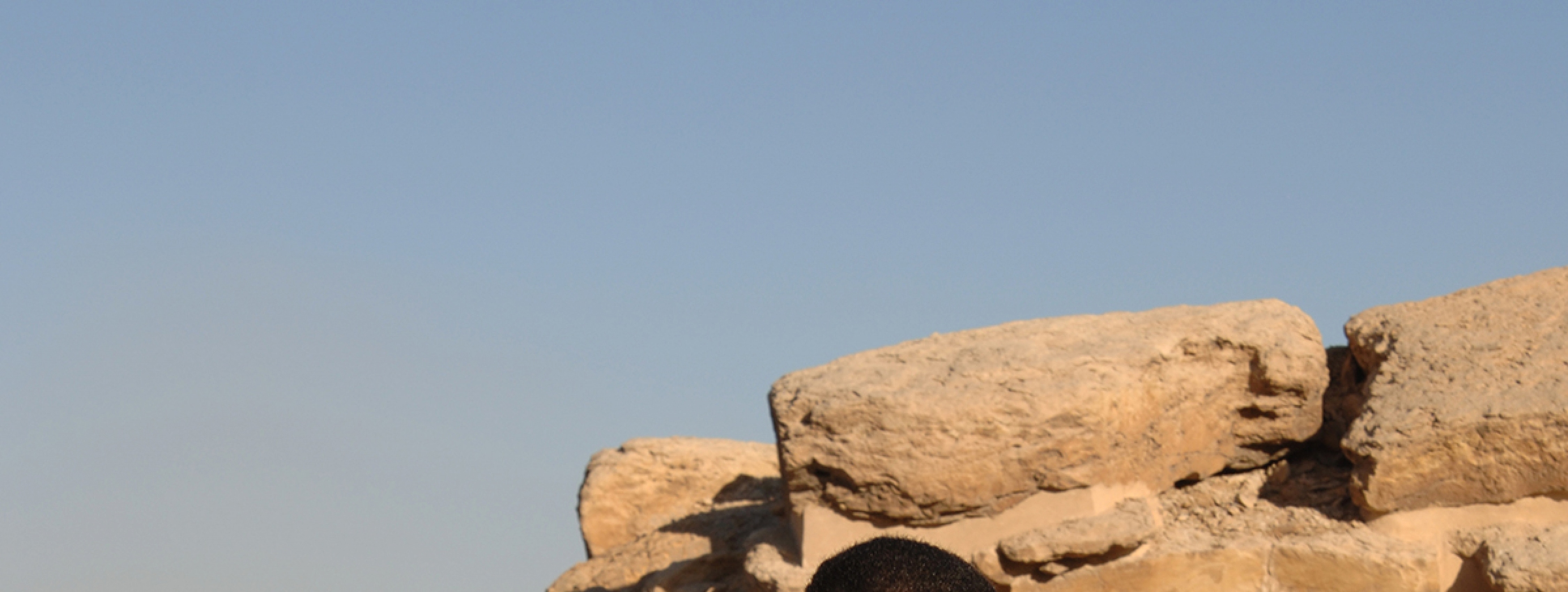 Male Bodybuilders and Muscle Videos at MuscleGallery.com