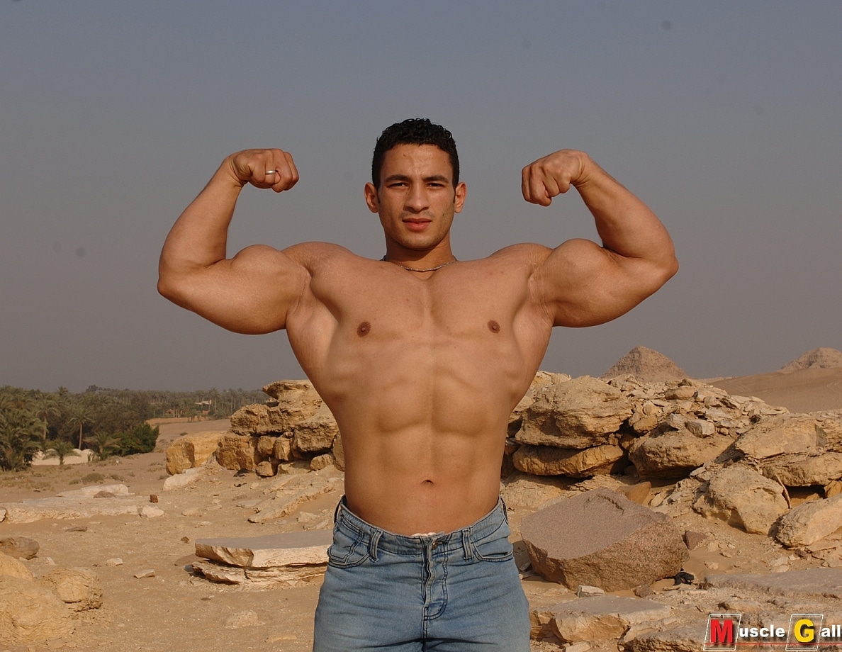 Egyptian Bodybuilders - Male Bodybuilders and Muscle Videos at ...