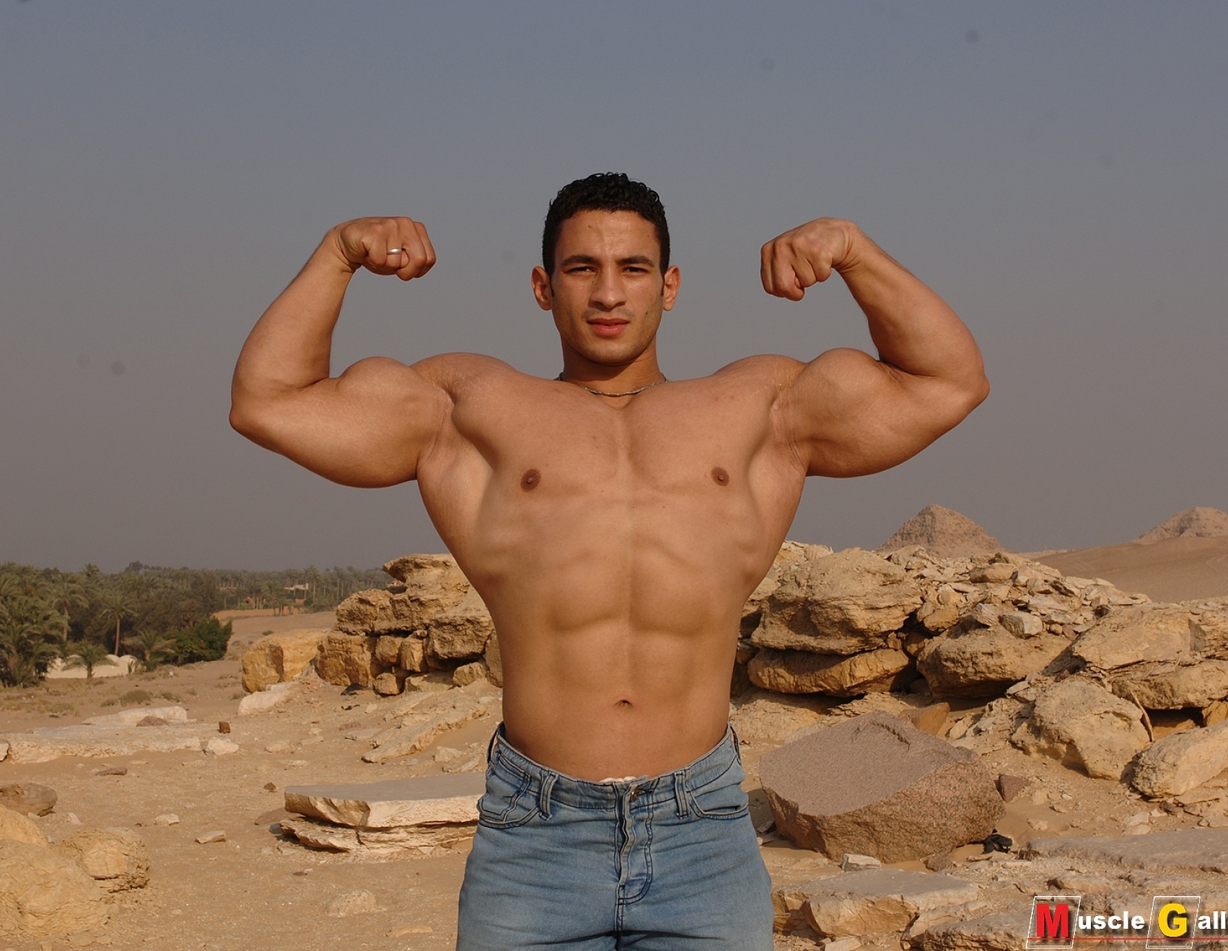 Anwar El Sayed - Male Bodybuilders and Muscle Videos at MuscleGallery.com