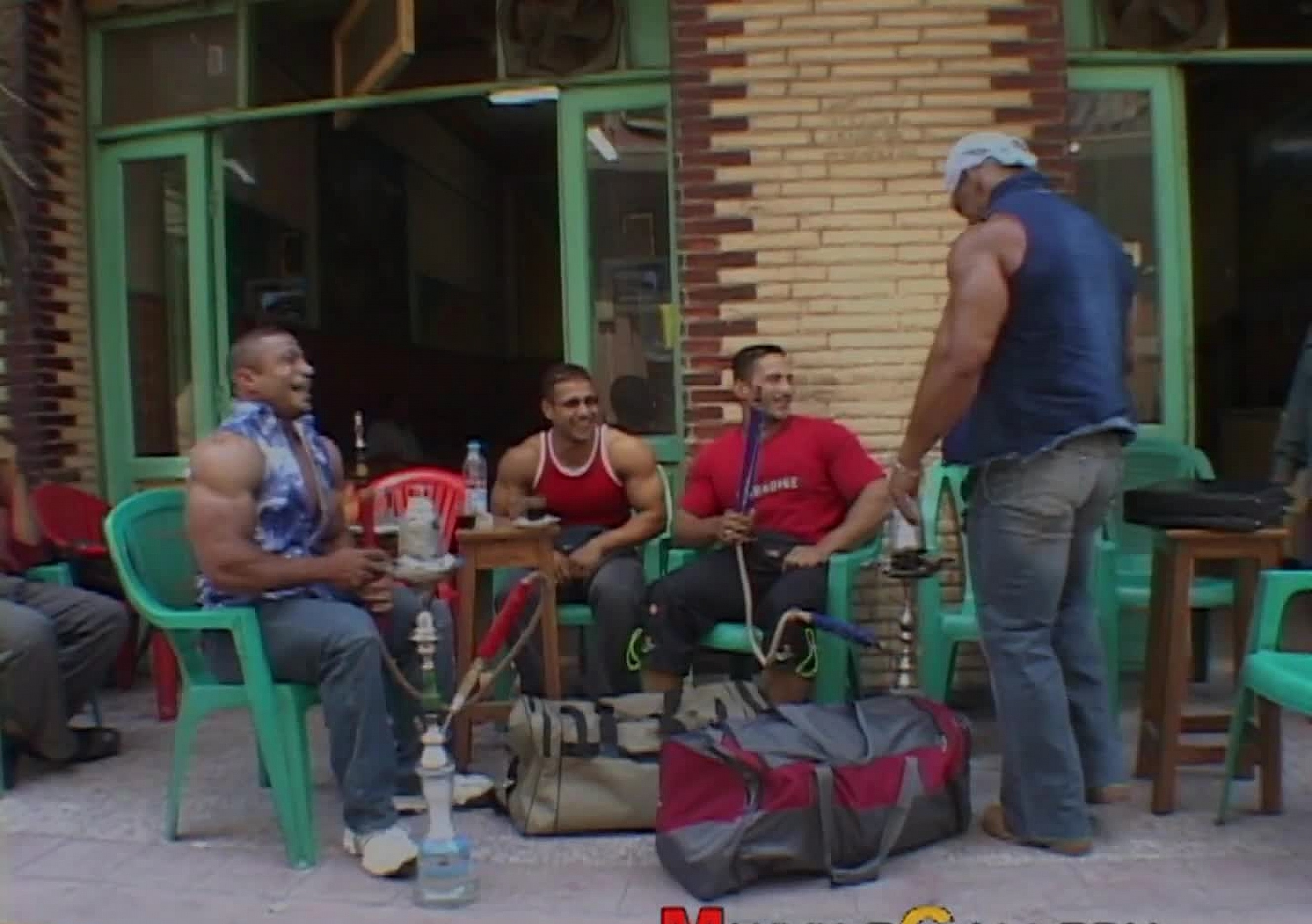 Anwar El Sayed - Male Bodybuilders and Muscle Videos at MuscleGallery.com