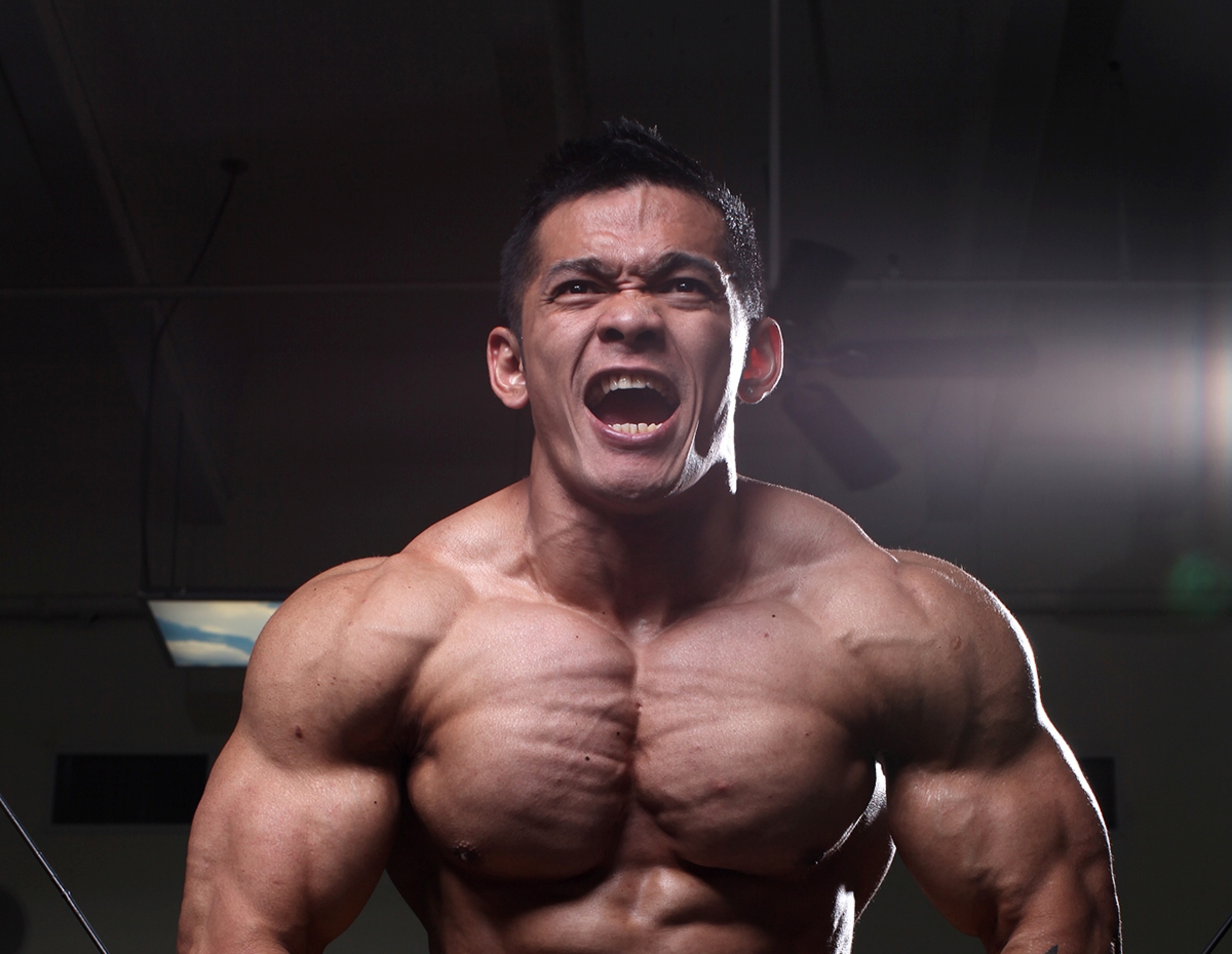 Gerald Pangan: Filipino Power Workout - Male Bodybuilders and Muscle ...