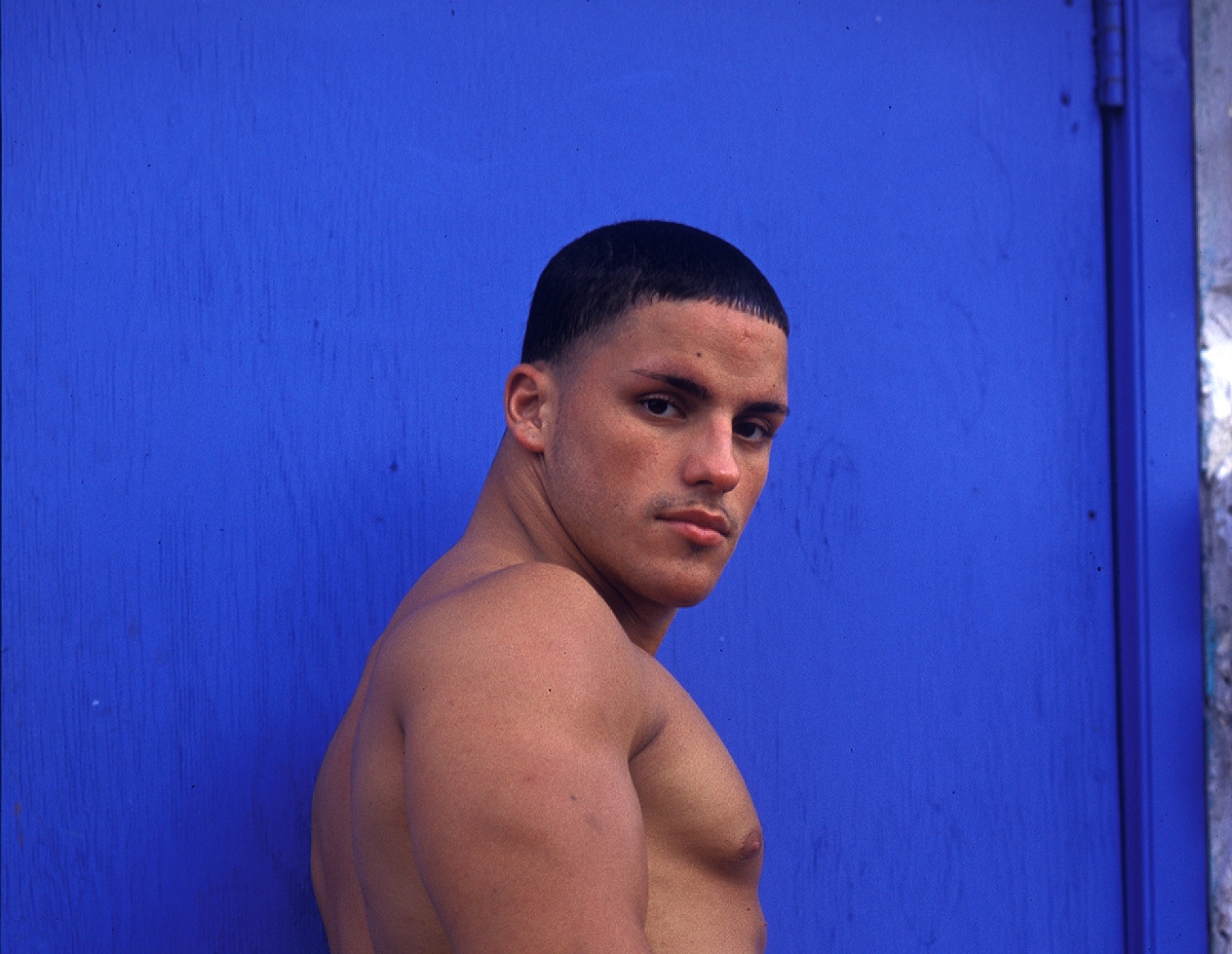 Gio Ortega in Miami - Male Bodybuilders and Muscle Videos at MuscleGallery.com