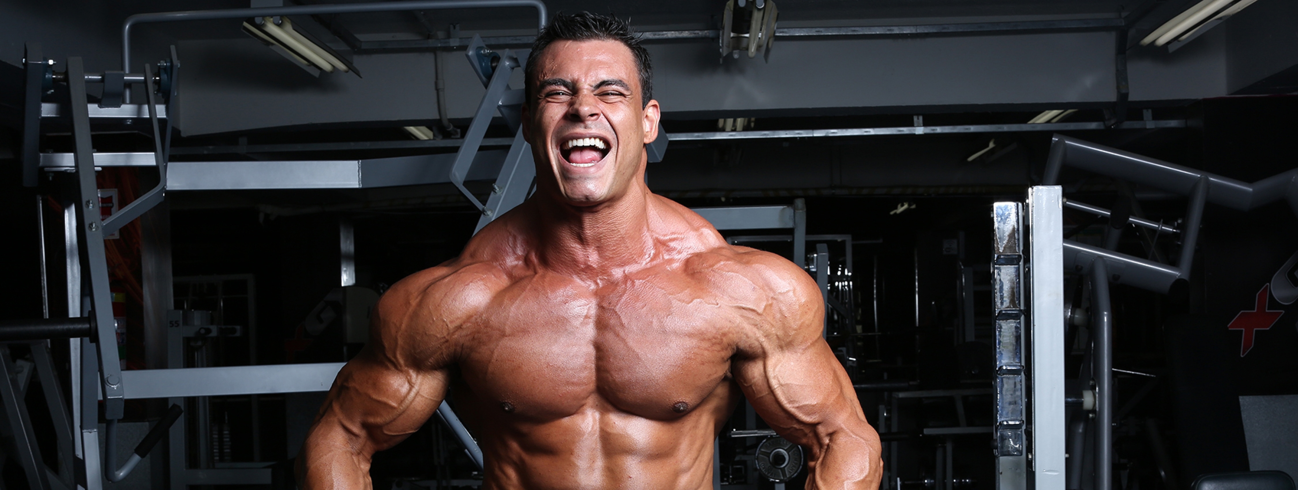 Male Bodybuilders and Muscle Videos at MuscleGallery.com