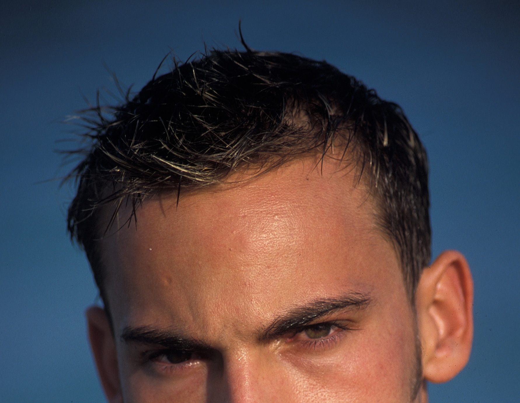 Michael Lee - Male Bodybuilders and Muscle Videos at MuscleGallery.com