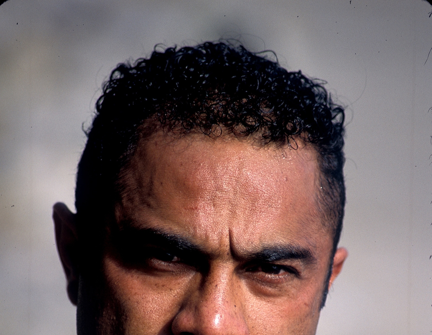 Tevita Aholelei: Tongan Muscle Monster - Male Bodybuilders and Muscle ...