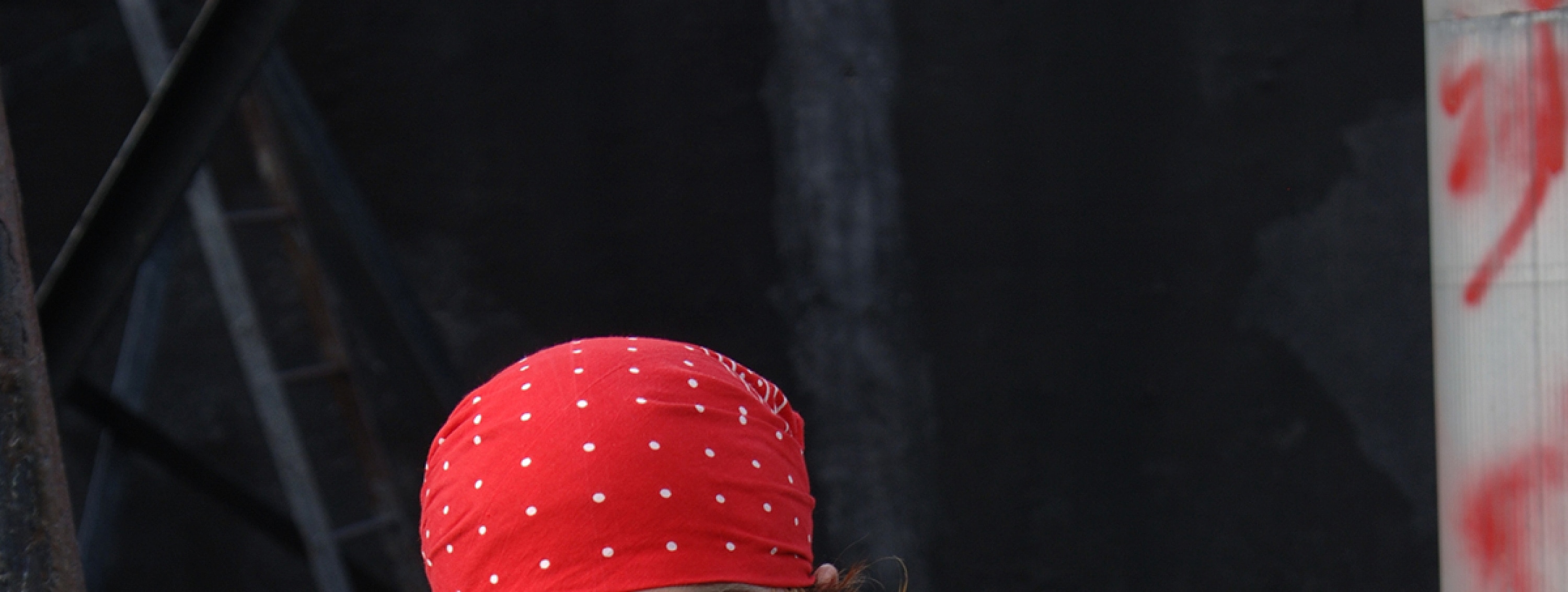 Male Bodybuilders and Muscle Videos at MuscleGallery.com