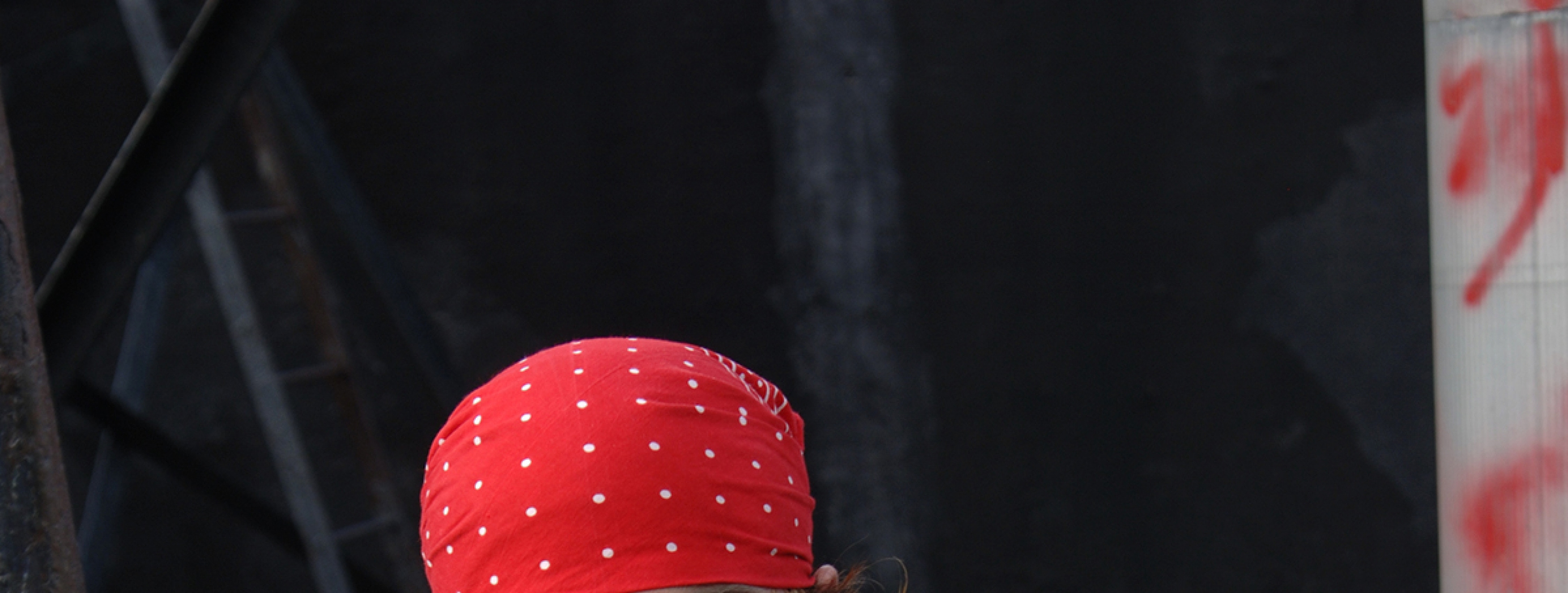 Male Bodybuilders and Muscle Videos at MuscleGallery.com